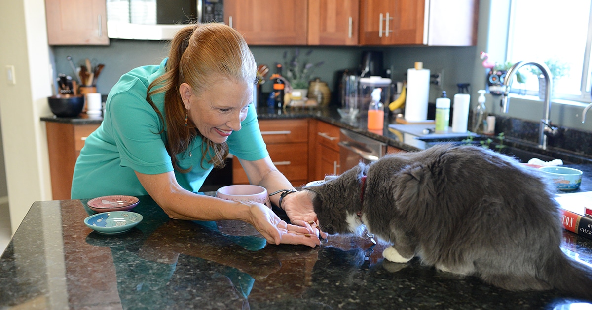 Pet Care - All About Services, LLC